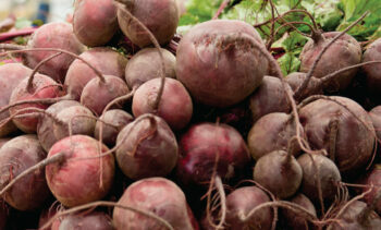 Bello Food Box - Local First + Organic