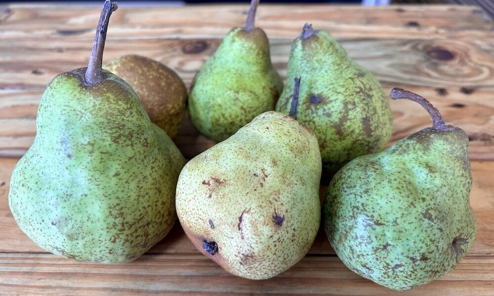 Pears - Marked Packhams - Bello Food Box - Bello Food Box