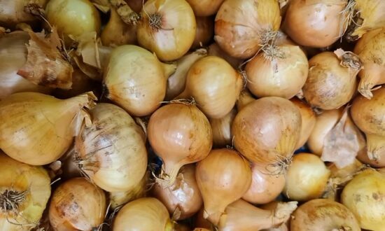 Bello Food Box - Local First + Organic