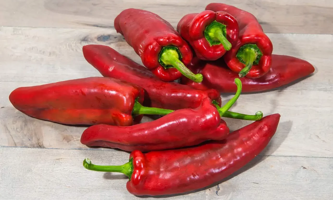 Capsicum - Red Bullhorn - Bello Food Box - Bello Food Box